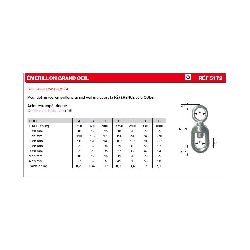 Emérillon grand oeil